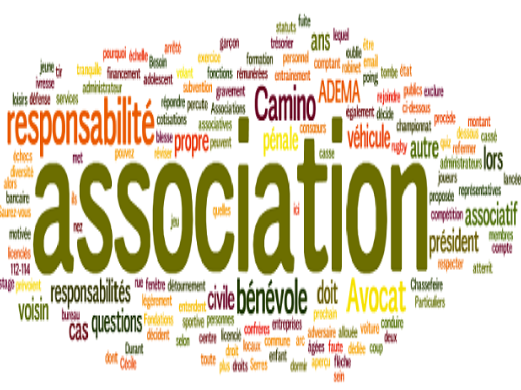 LES ASSOCIATIONS EMPLOYEURS - CONVENTION COLLECTIVE - Cava 49